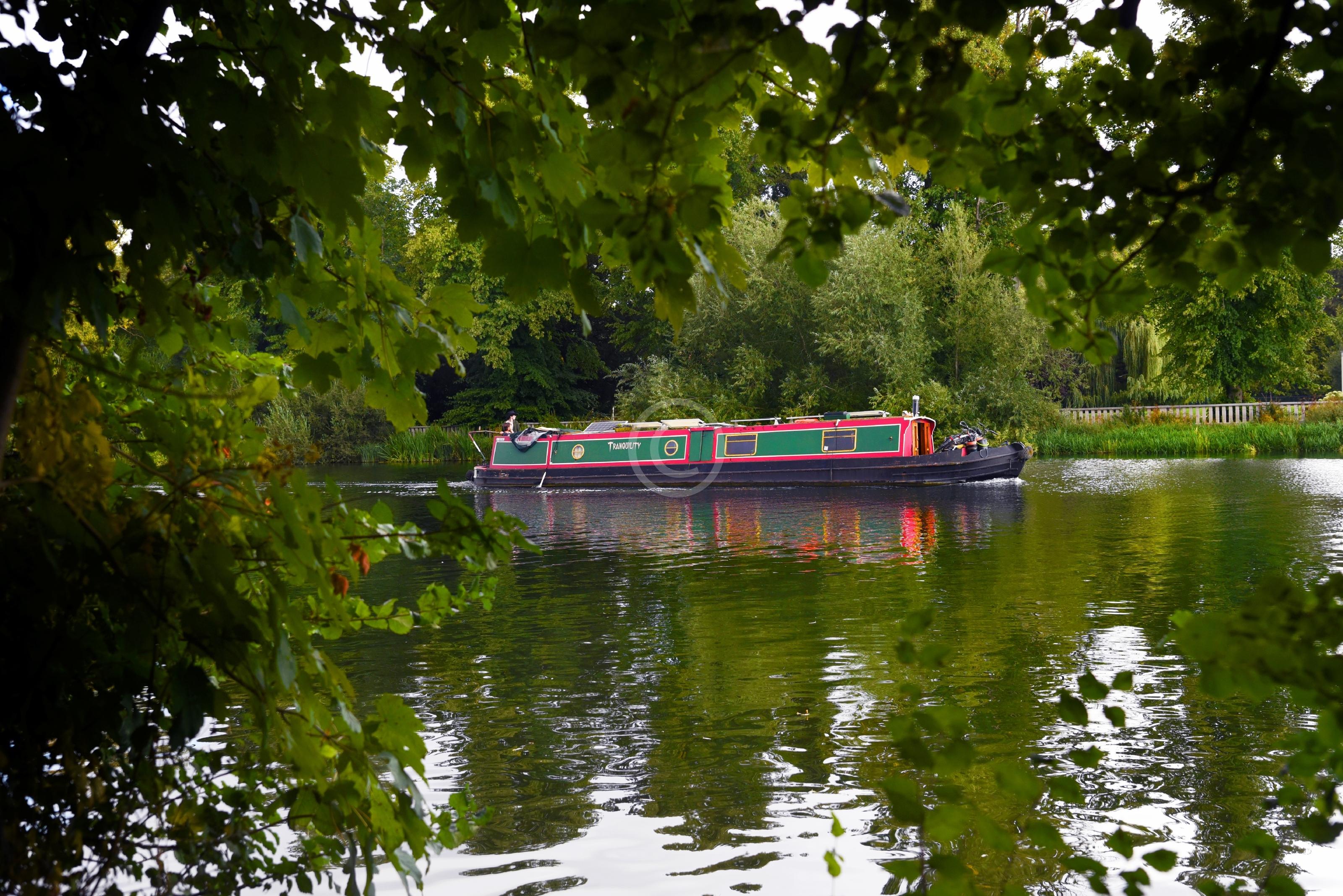 BIG PICTURE 134800 - Photo 1 of 1 - Baylis Media Photos