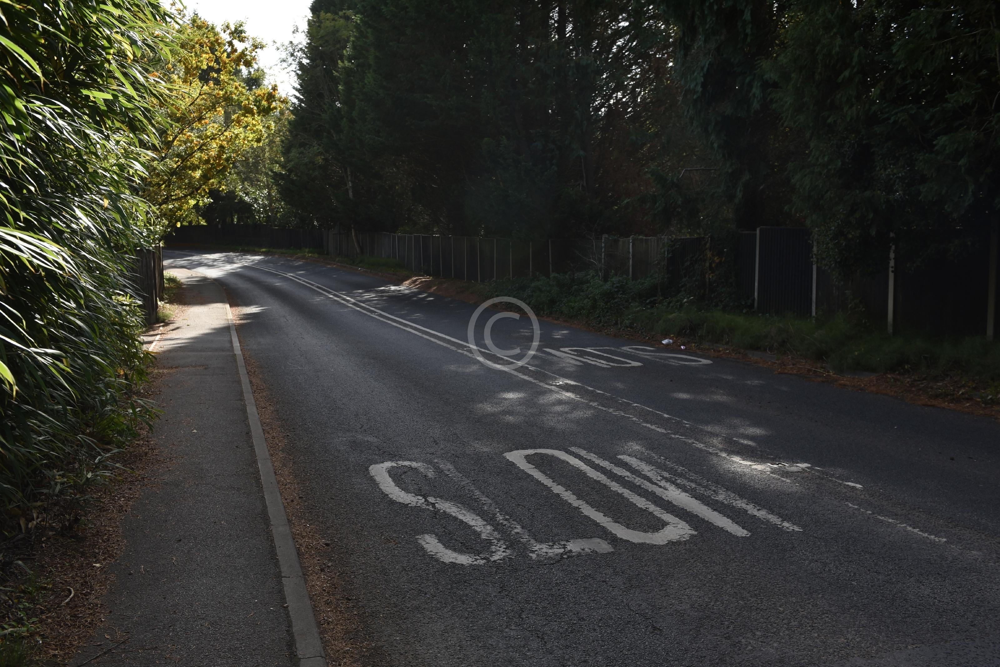 ASCOT 134954 - Photo 1 of 11 - Baylis Media Photos