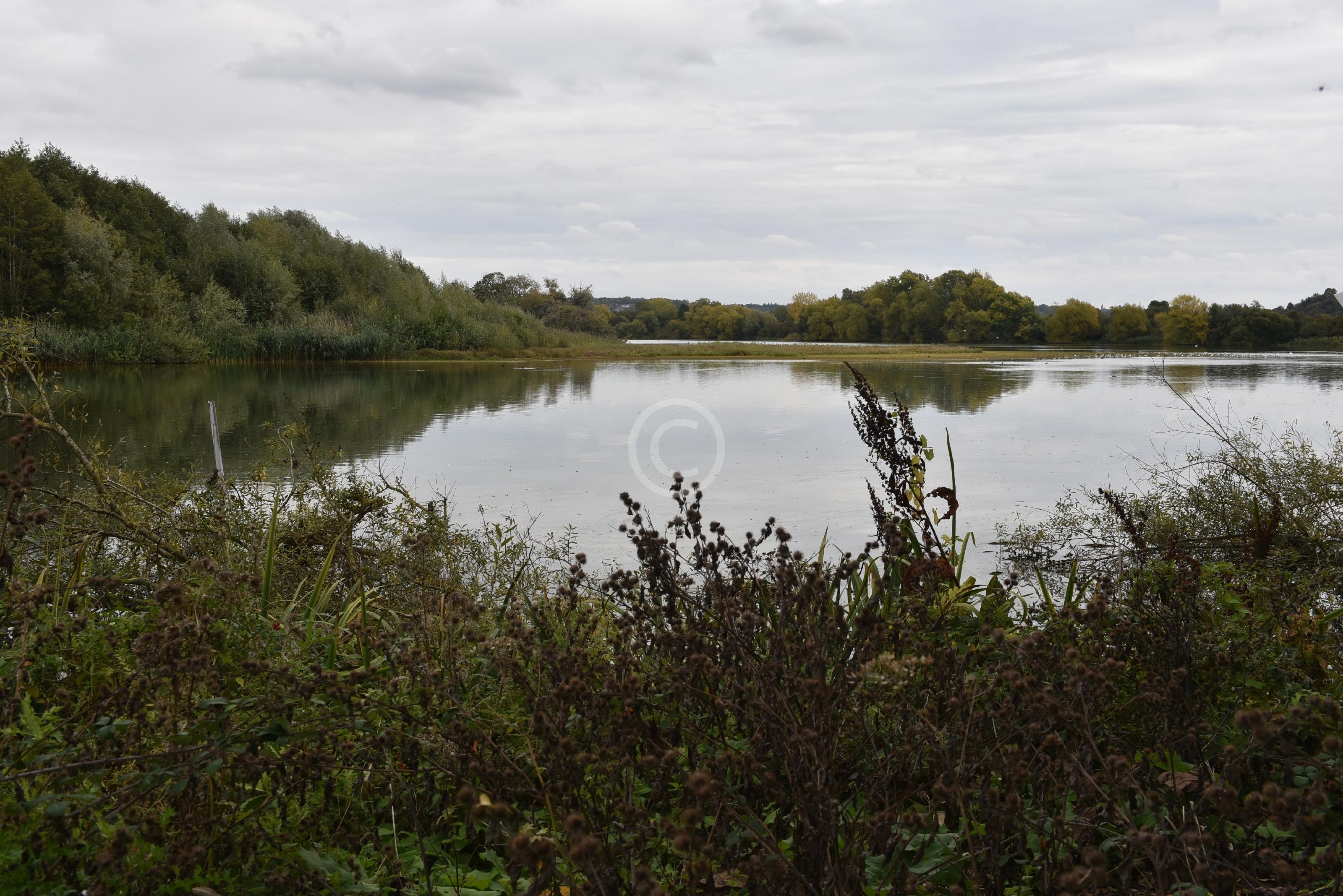 LITTLE MARLOW 134977 - Photo 1 of 27 - Baylis Media Photos