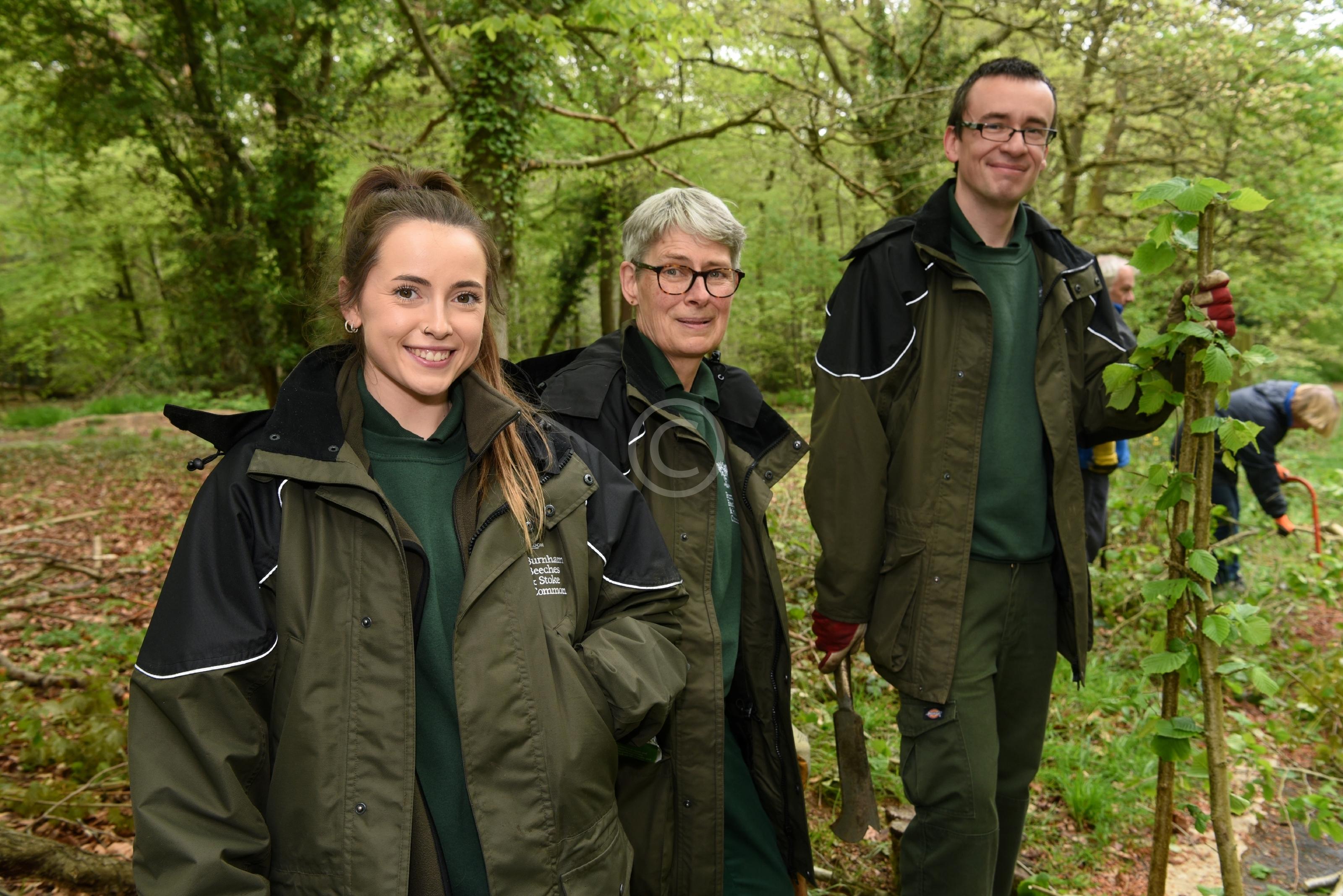 BURNHAM 135453 - Photo 1 of 4 - Baylis Media Photos