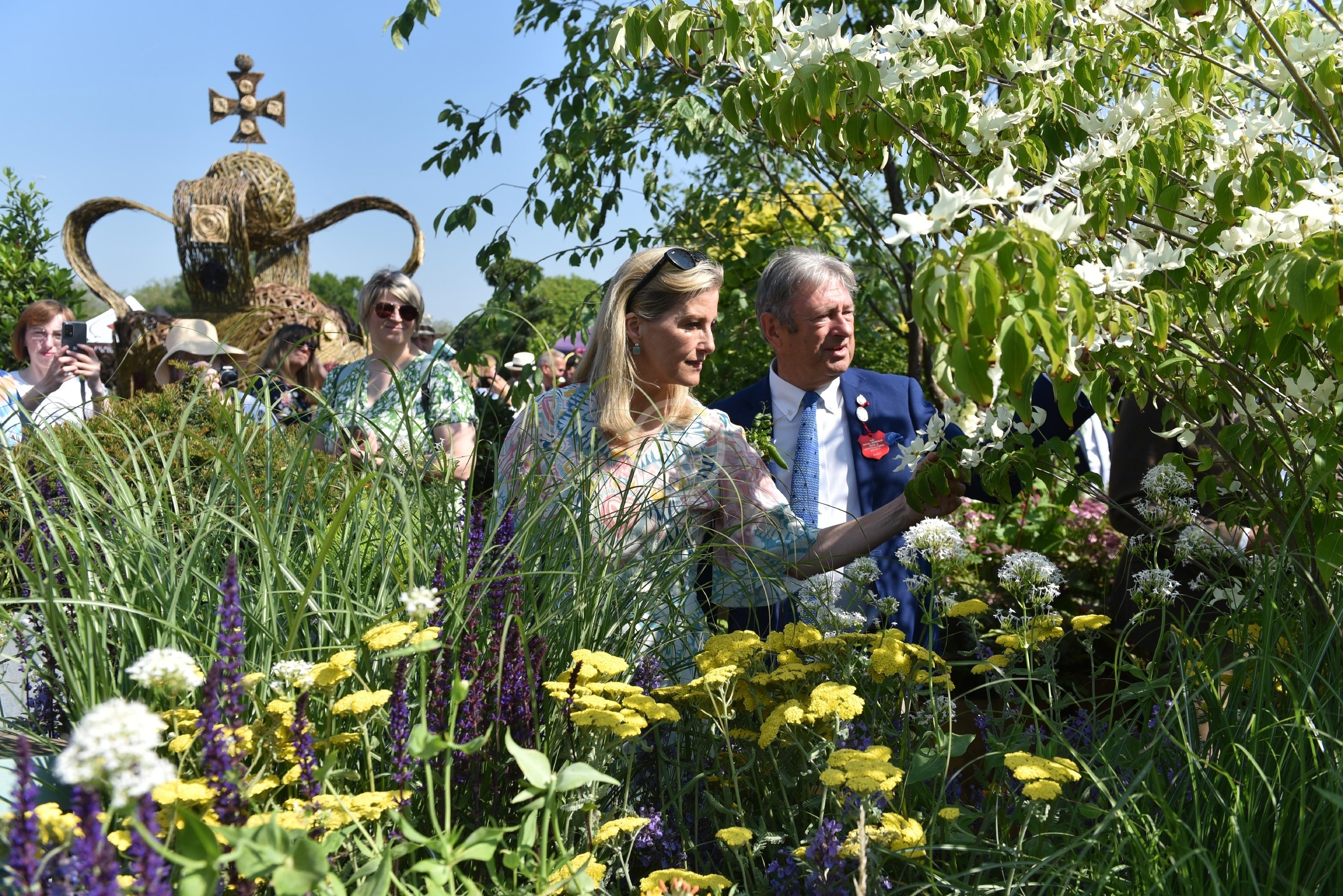 WINDSOR 135515 - Photo 1 of 3 - Baylis Media Photos