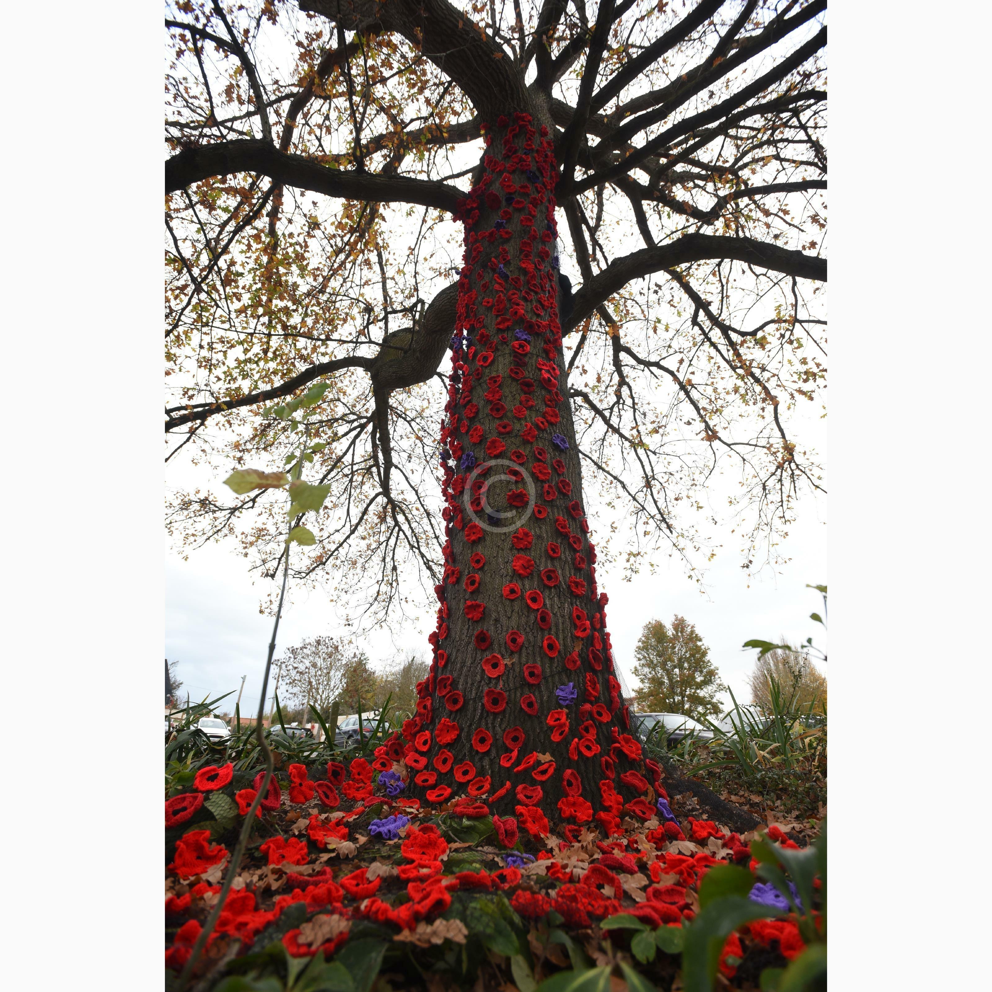 CLEWER 137113 - Photo 2 of 26 - Baylis Media Photos