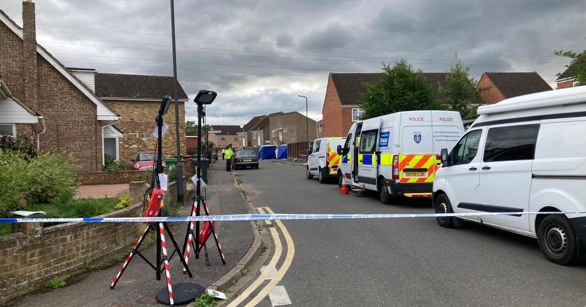 Slough killer stabbed victim 34 times in savage attack after botched ...