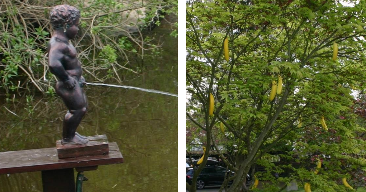Thames Manneken Pis and miraculous banana tree appear in Sonning ...