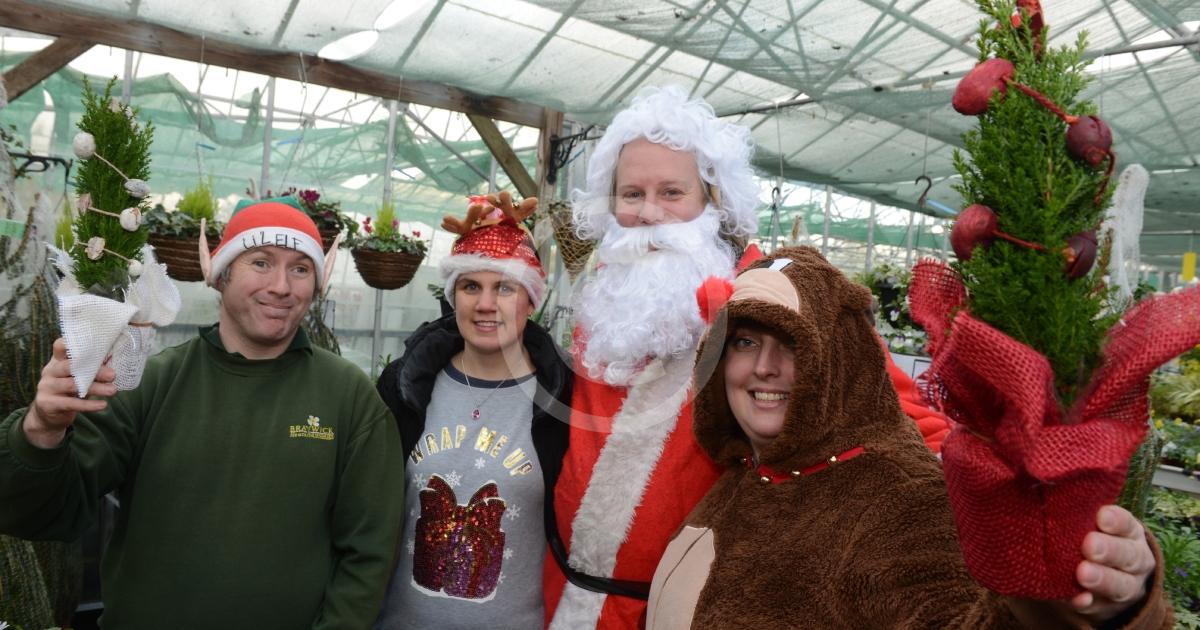 BRAYWICK 127185 - Photo 1 of 16 - Baylis Media Photos