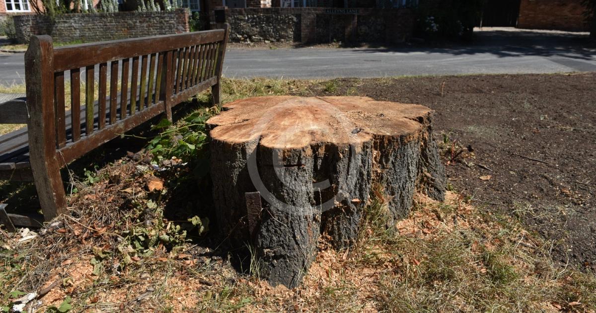 COOKHAM DEAN 128359 - Photo 1 of 10 - Baylis Media Photos