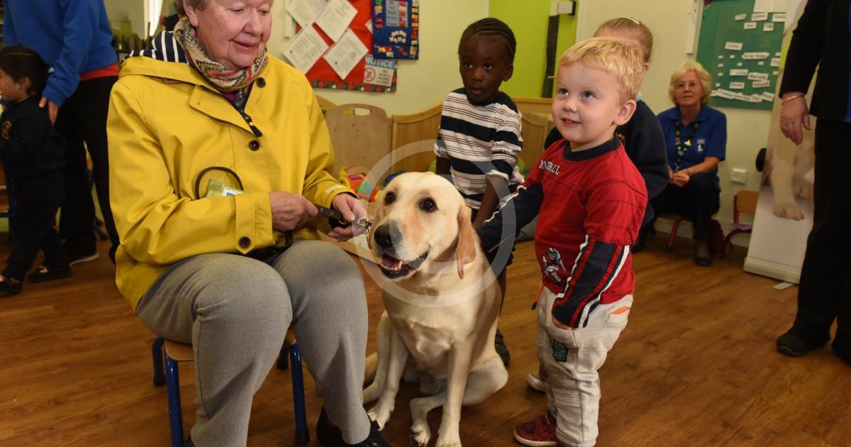 DEDWORTH 128775 - Photo 1 of 12 - Baylis Media Photos