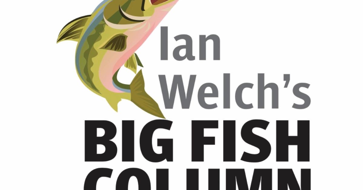 Big Fish Column: River Loddon the best bet for barbel, but low water ...