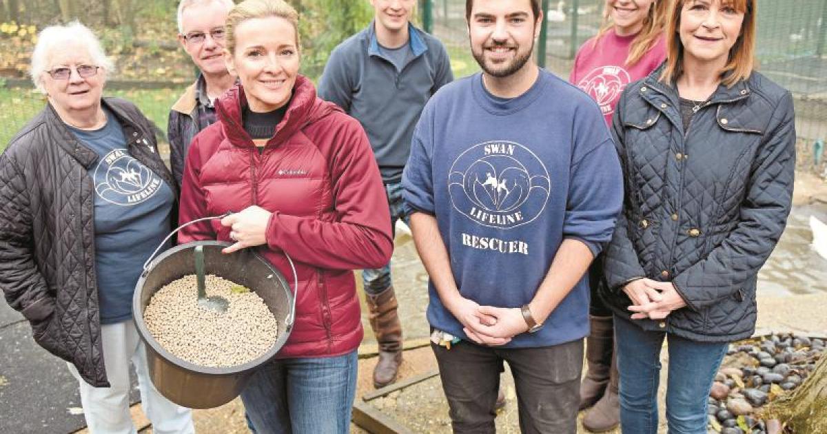 In pictures: TV presenter Gabby Logan visits Swan Lifeline - Photo 2 of ...