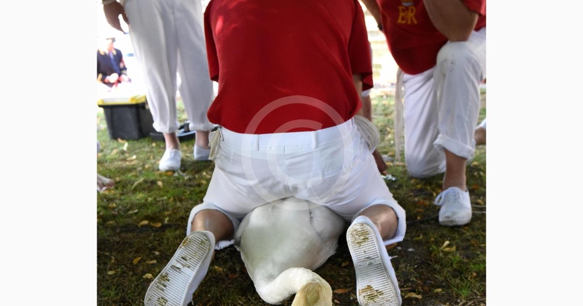 2019 REVIEW Ian SWAN UPPING 131579 - Photo 1 of 1 - Baylis Media Photos