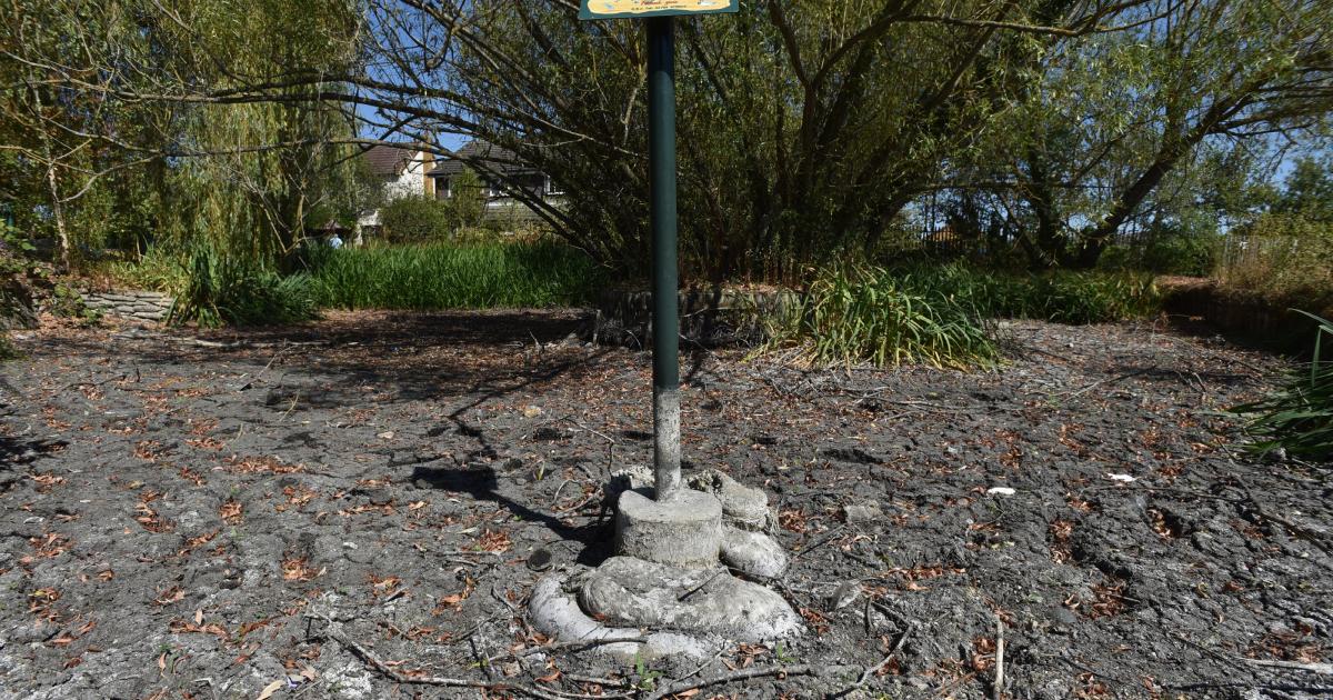 CIPPENHAM 134766 - Photo 2 of 16 - Baylis Media Photos