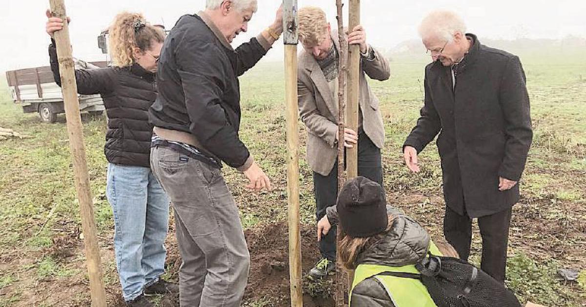 Trees planted in Czech Republic in memory of Sir Nicholas Winton ...