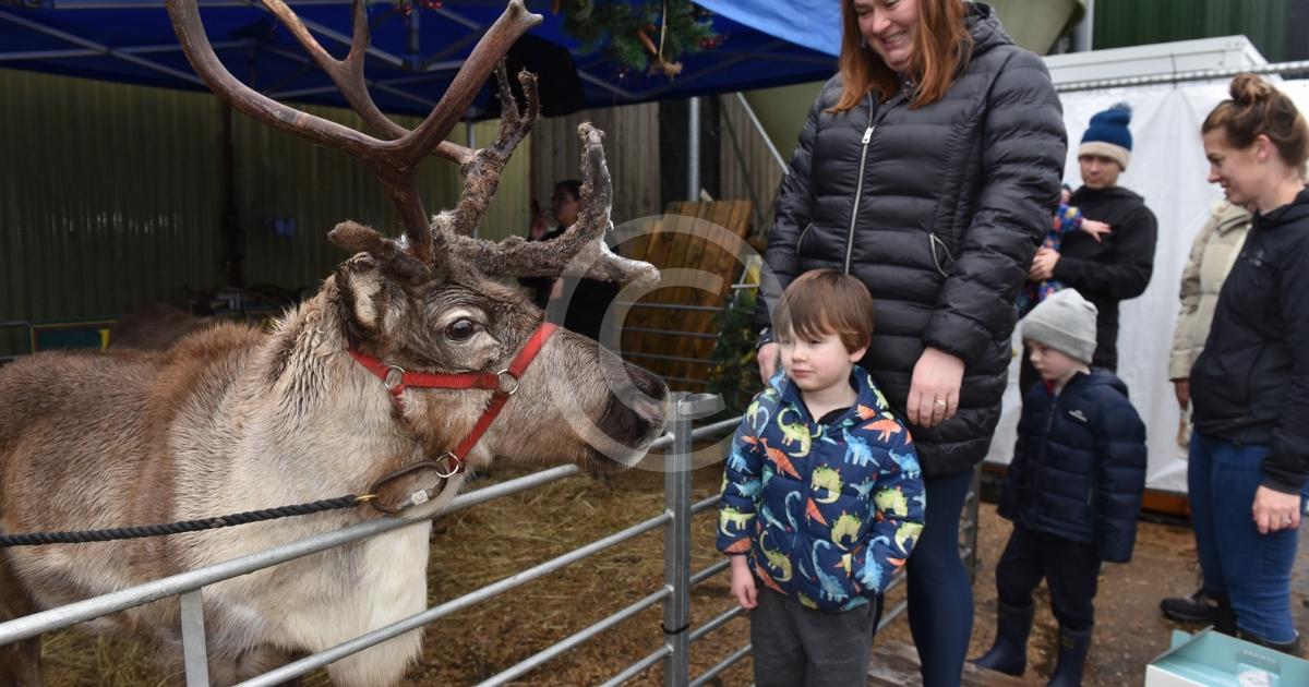 COOKHAM DEAN - Photo 1 of 16 - Baylis Media Photos