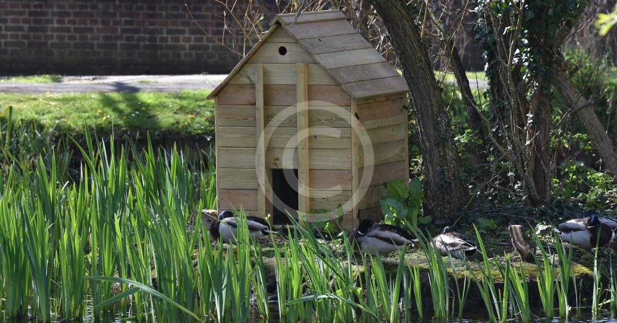 CIPPENHAM 135378 - Photo 1 of 7 - Baylis Media Photos