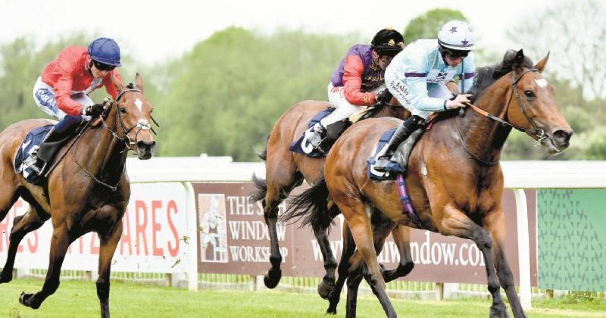 Rossa Ryan takes the riding honours at Windsor's Bank Holiday meeting ...