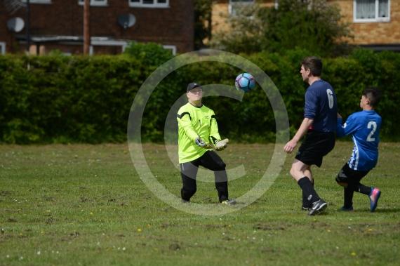 BRITWELL 127915 - Photo 1 of 55 - Baylis Media Photos