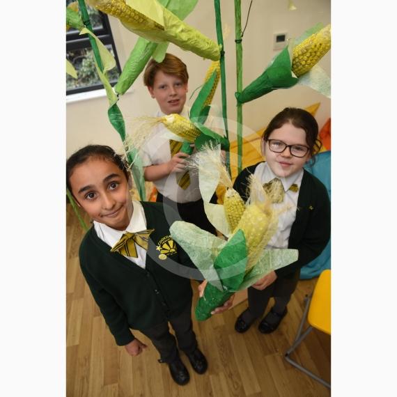 COOKHAM 131110 - Photo 1 of 4 - Baylis Media Photos