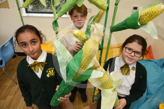 COOKHAM 131110 - Photo 1 of 4 - Baylis Media Photos