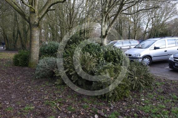 MAIDENHEAD 132336 - Photo 1 of 8 - Baylis Media Photos