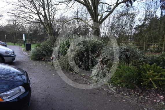 MAIDENHEAD 132336 - Photo 1 of 8 - Baylis Media Photos