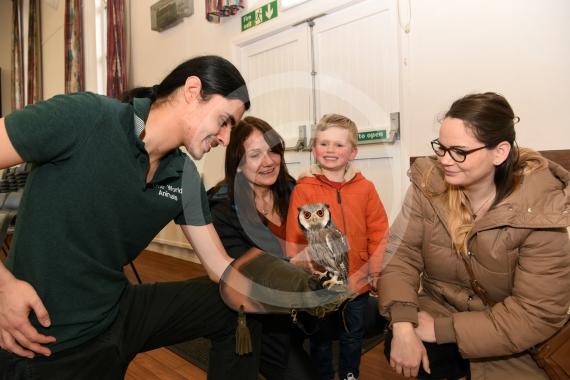 MARLOW 132469 - Photo 1 of 8 - Baylis Media Photos