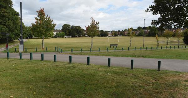 Changes to Maidenhead park revealed in plan for new flood relief scheme ...