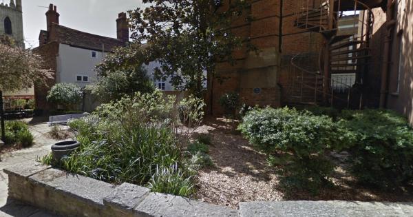 Residents say rat problem in Windsor is an 'endless battle' - Baylis ...