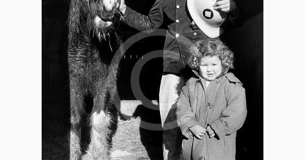 RW 130793 - Photo 1 of 8 - Baylis Media Photos