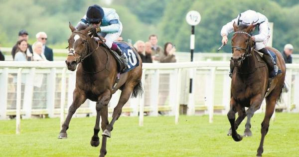 Smile back on the face of Highclere Thoroughbred Racing boss Harry ...