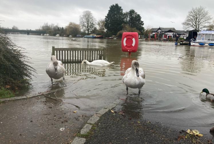 River Thames flood alerts remain in place as waters recede - Baylis ...