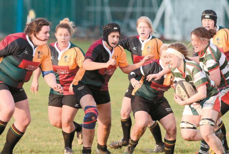 Hallett to help grow and develop girls and women's section at Windsor ...